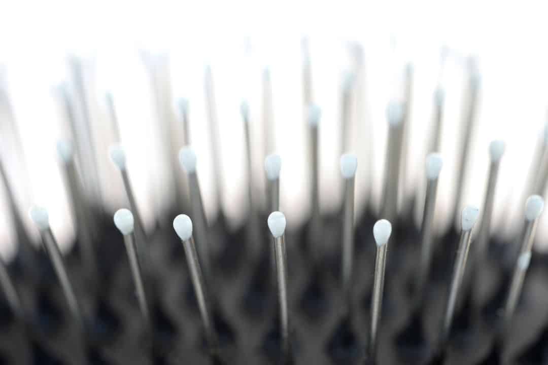 Best Brush for Pitbulls (Owner's Guide) - PitBullTribe.com